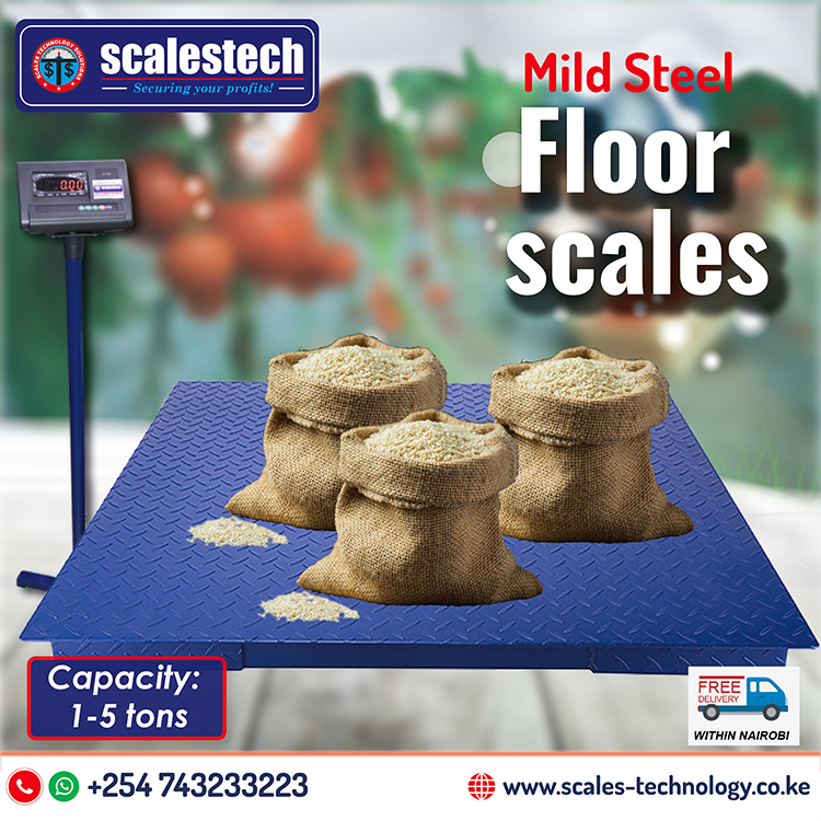 Heavy-Duty Industrial Floor Scales in Kenya | Quality and Durable
