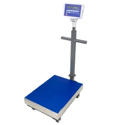 Heavy-Duty Mild Steel Trolley Platform Scale on Wheels