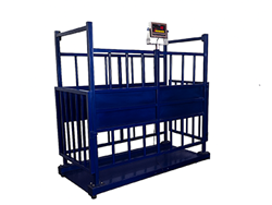 Animal Weighing Scale Kenya | 1.5 Ton Livestock Scale for Cows & Bulls